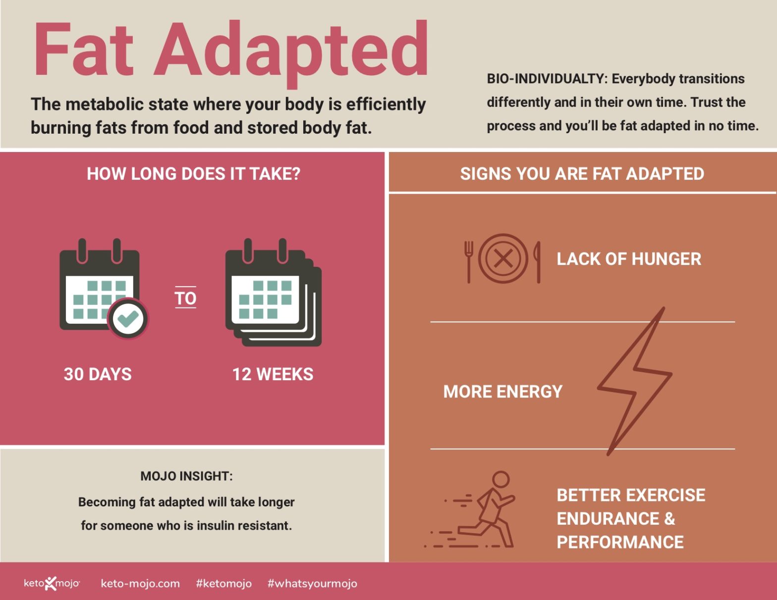Health: What Does Fat Adapted Mean? | KETO-MOJO