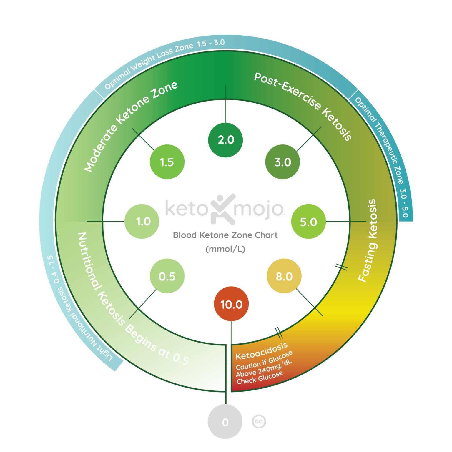 Learn more about testing with our visual infographics | KETO-MOJO