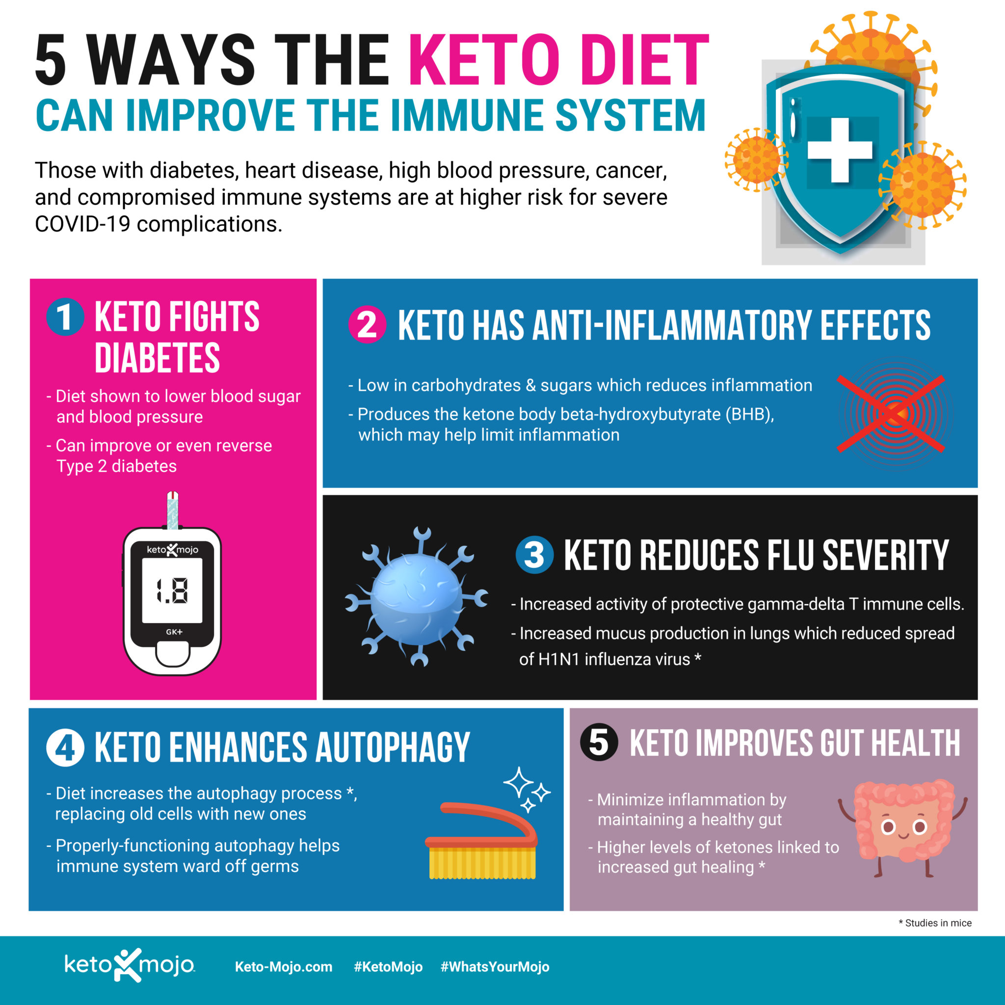 Keto Infographics | KETO-MOJO