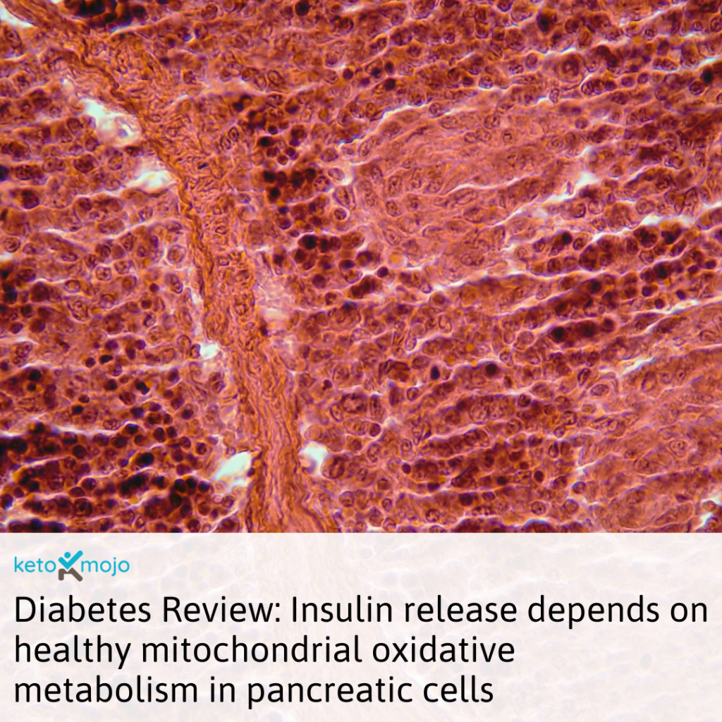 Mitochondrial metabolism and dynamics in pancreatic beta cell glucose ...