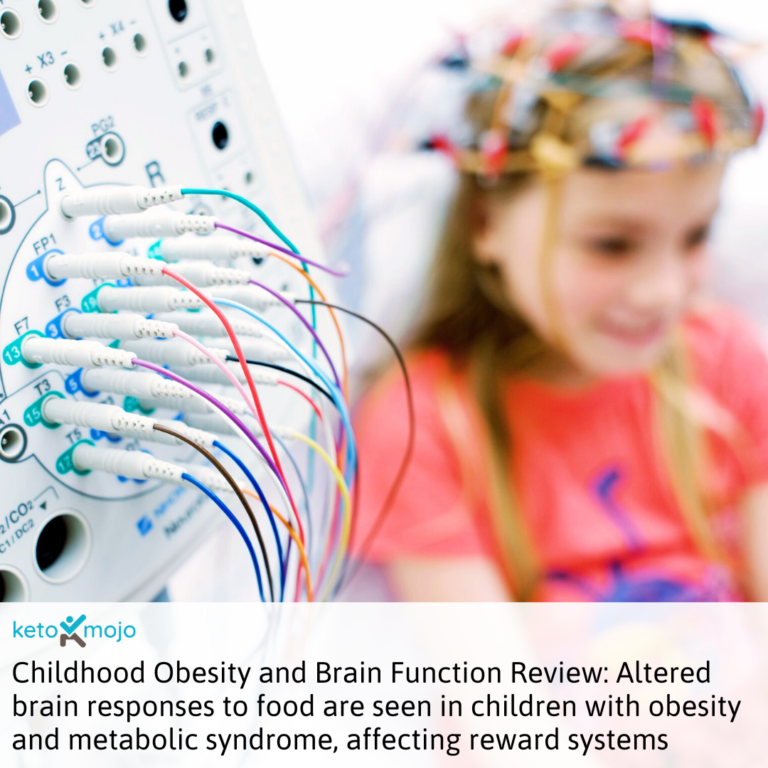 Paediatric obesity and metabolic syndrome associations with cognition ...