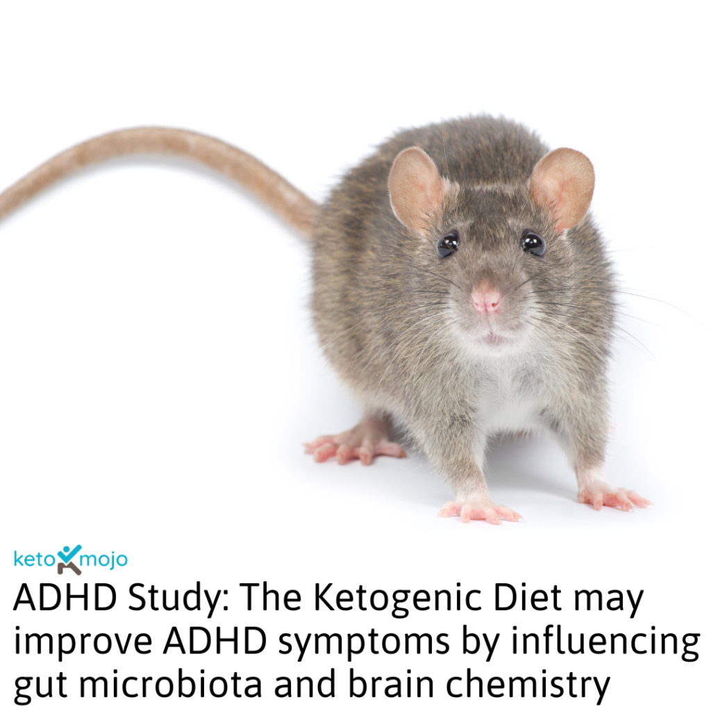 Ketogenic diet ameliorates attention deficit hyperactivity disorder in ...
