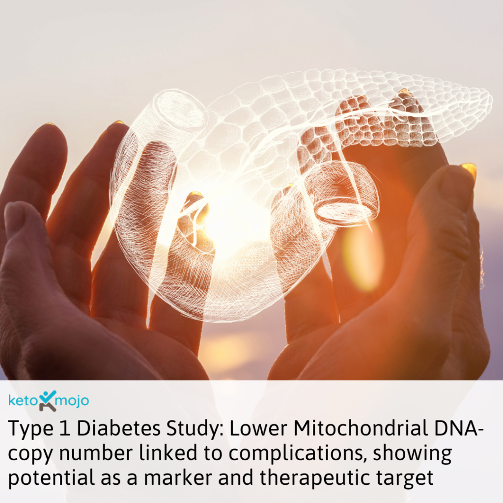 Mitochondrial DNA copy number in adults with and without Type 1 ...