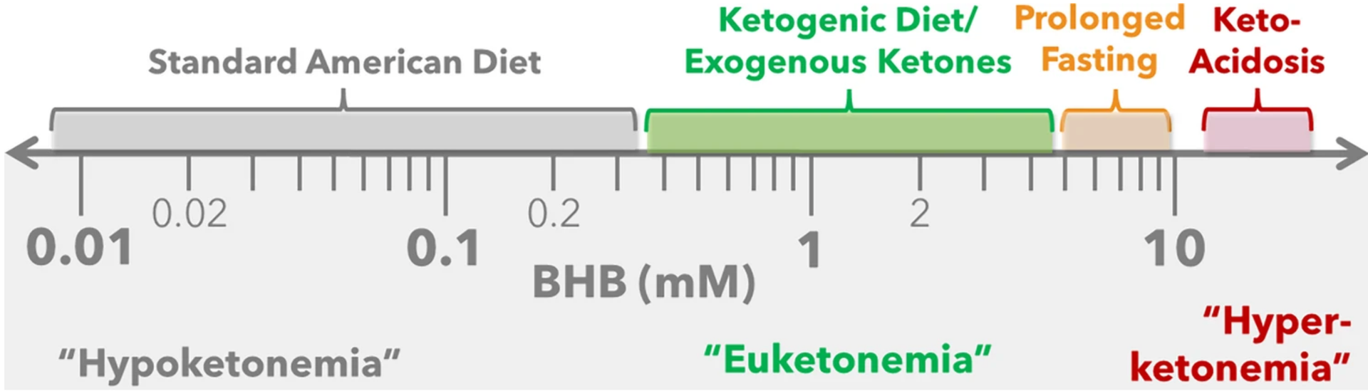 Euketonemia: A New Term for Optimal Ketosis – KETO-MOJO
