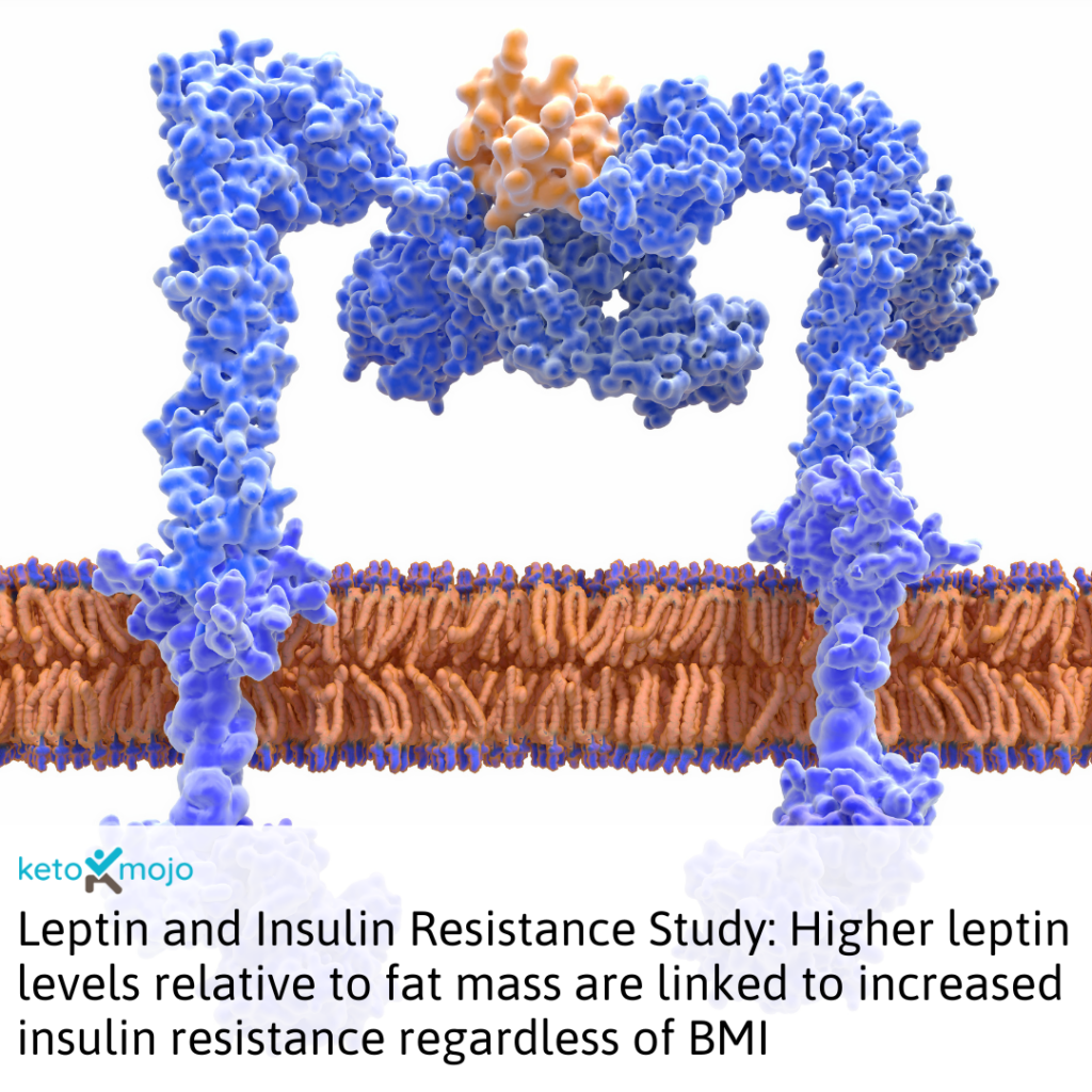 At any level of adiposity, relatively elevated leptin concentrations ...
