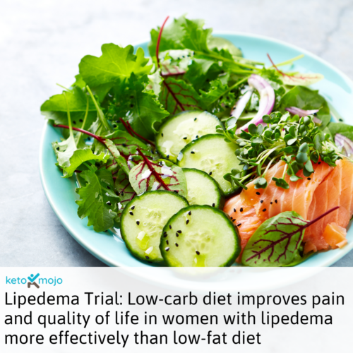 Effect of a low-carbohydrate diet on pain and quality of life in female ...