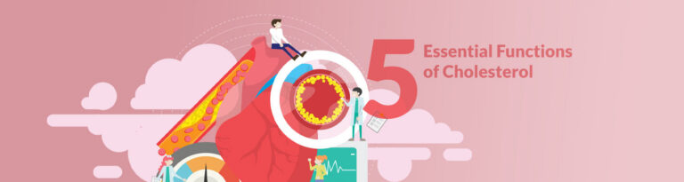 Cinco funciones esenciales del colesterol: por qué es vital para la ...
